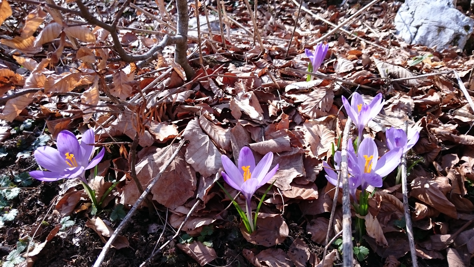 Perun, Veles, Učka i Trebišća - Ludens Media - Svijet je u oku promatrača