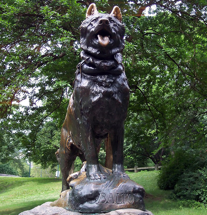 Balto - Ludens Media - Svijet je u oku promatrača